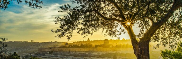 Tour Packages to Jerusalem & Israel - Holy Land Trips | America Israel ...